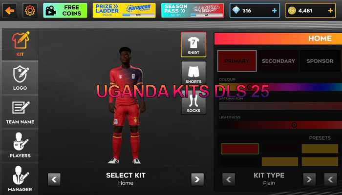 Indonesia Kits Dream League Soccer 2024/2025