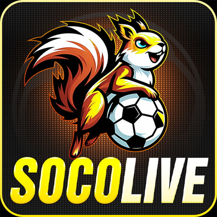 Socolive TV là gì? Kênh xem bóng đá trực tuyến cho fan cuồng nhiệt - Kit DLS Net