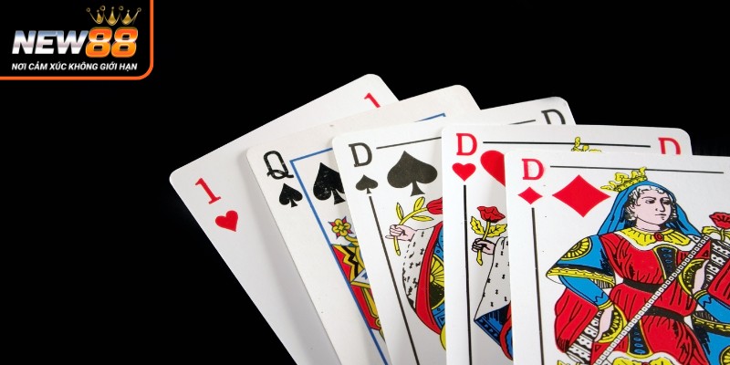 New 88 - Khám Phá Sảnh Game Bài Đổi Thưởng Cực Khủng - Kit DLS Net